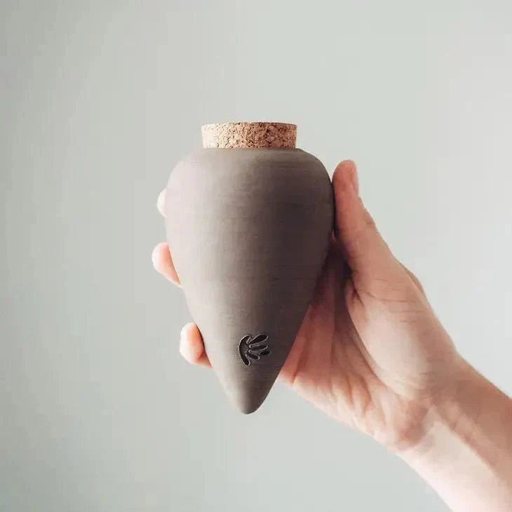 How to Use an Olla: The Secret to Low-Maintenance Plant Hydration – Ed ...
