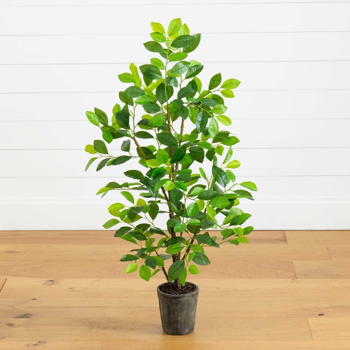 3-ft Ficus Artificial Tree in Planter – Realistic & Maintenance-Free ...