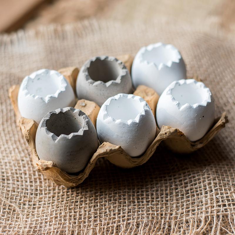 Eggshell-Shaped Planters in Egg Crate – Perfect for Succulents – Ed's ...