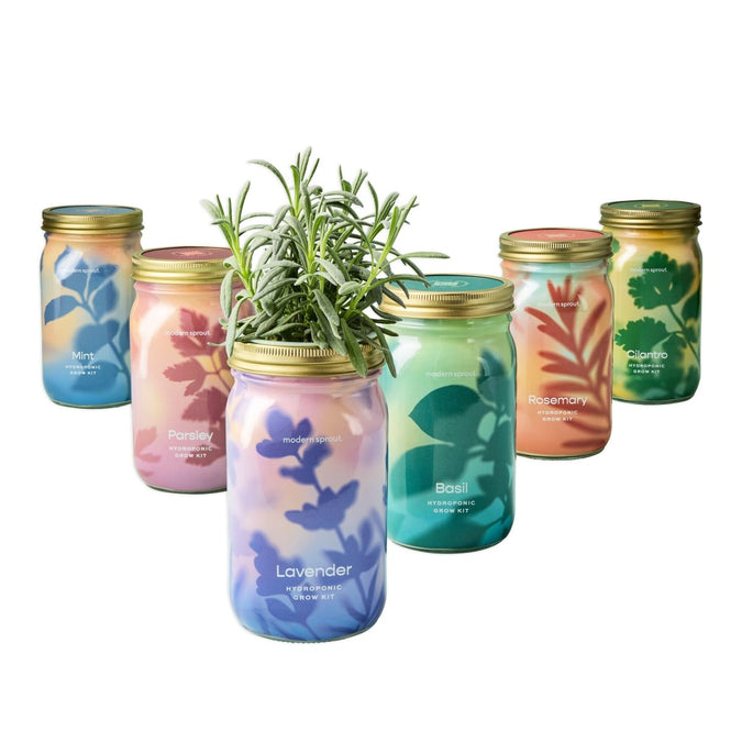 Garden Jars – Organic Herb Growing Kit | Indoor Hydroponic Jar – Ed's ...