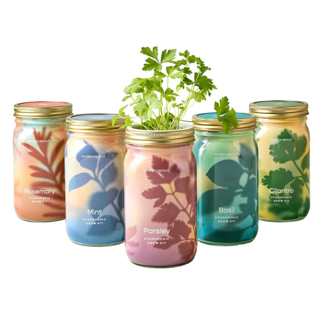 Garden Jars – Organic Herb Growing Kit | Indoor Hydroponic Jar – Ed's ...
