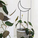 Crescent Moon Trellis - Metal Garden Decor – Ed's Plant Shop