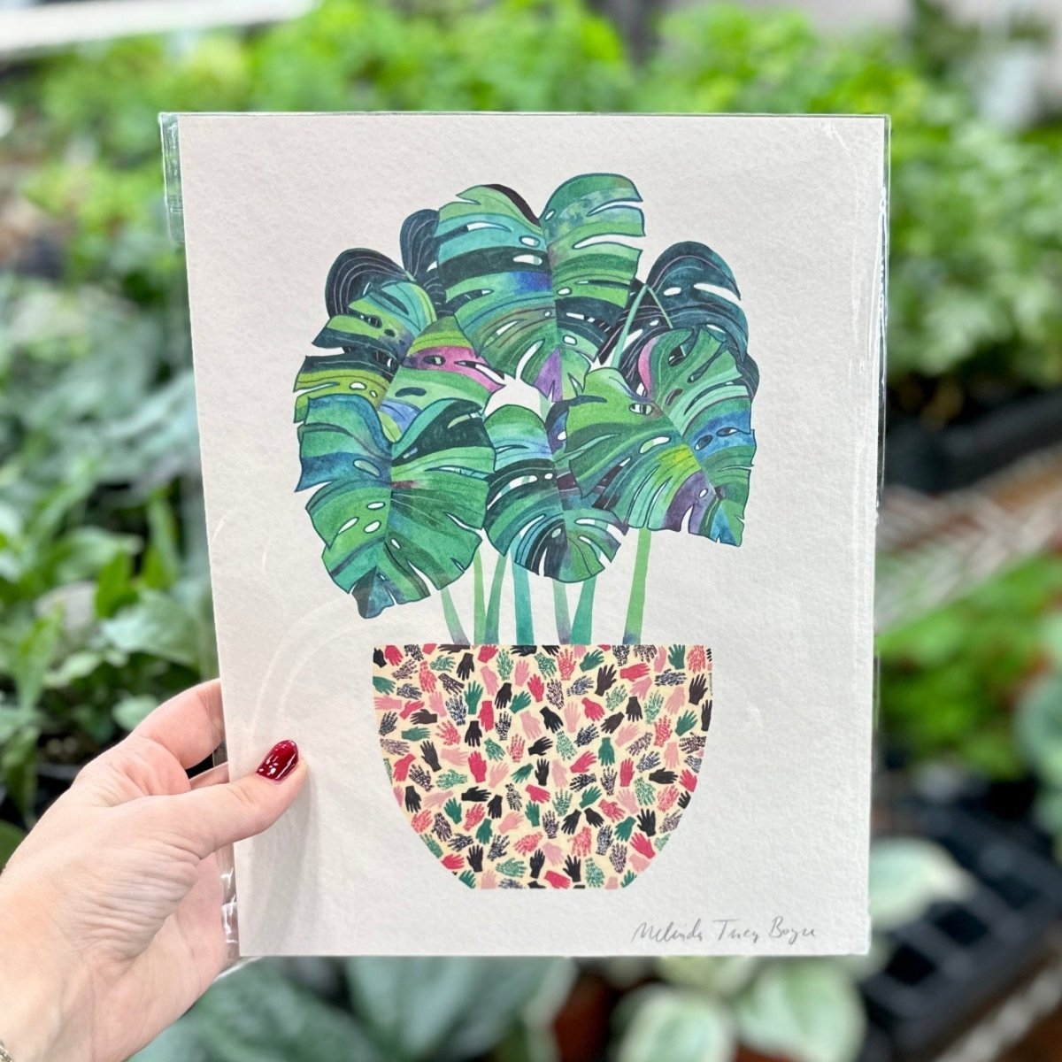 Monstera Pot Art: Stylish Print – Ed's Plant Shop