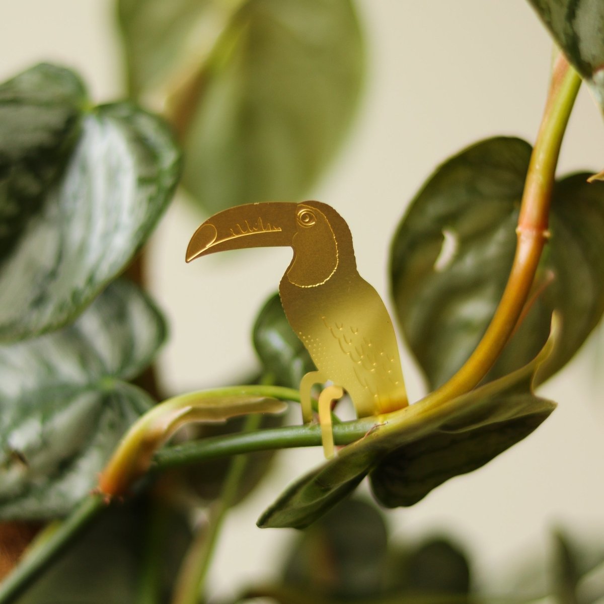 Plant Animal - Brass Toucan Bird – Ed's Plant Shop