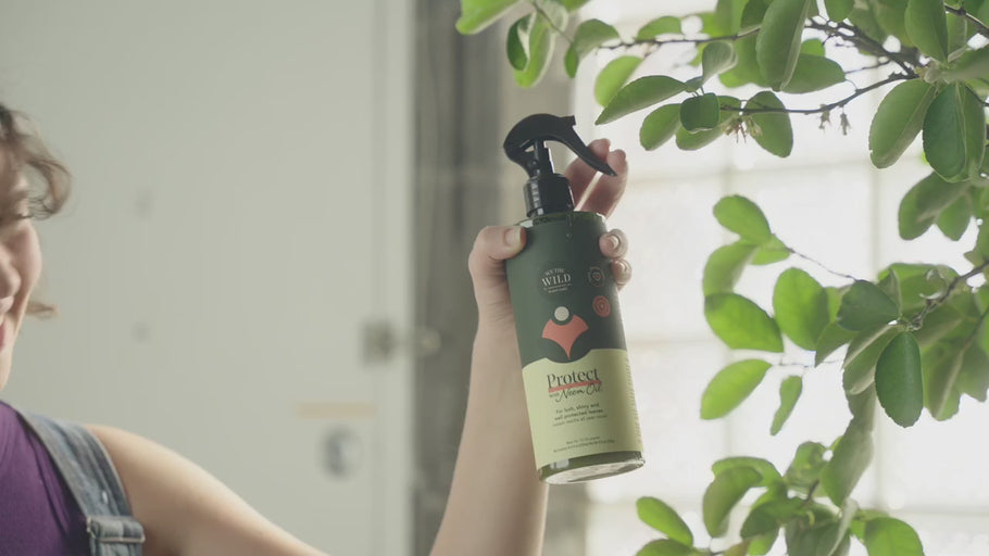 Protect Spray with Neem - Leaf Protector & Shine Spray | Ed’s Plant ...