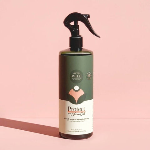 Protect Spray with Neem - Leaf Protector & Shine Spray | Ed’s Plant ...