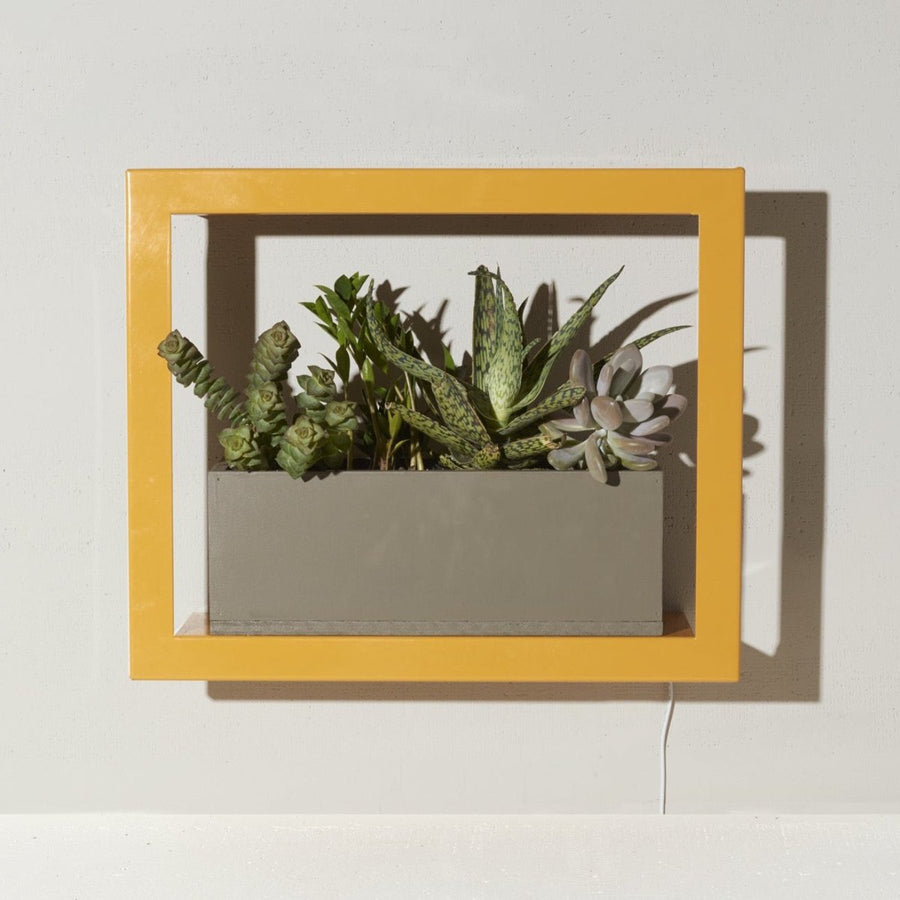 Grow Lights for Indoor Plants | Energy-Efficient Plant Lighting – Ed's ...